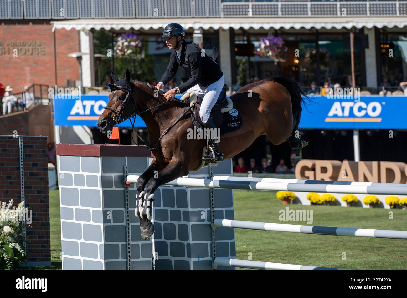 United touch s horse hi-res stock photography and images - Alamy