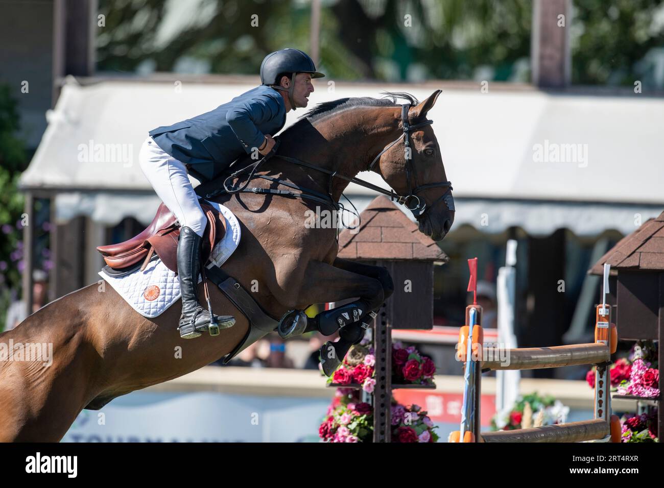 Steve guerdat spruce hi-res stock photography and images - Alamy