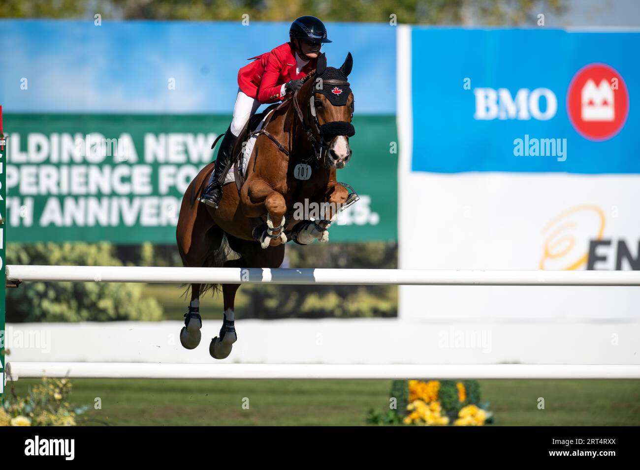 Peter ballard hi-res stock photography and images - Alamy