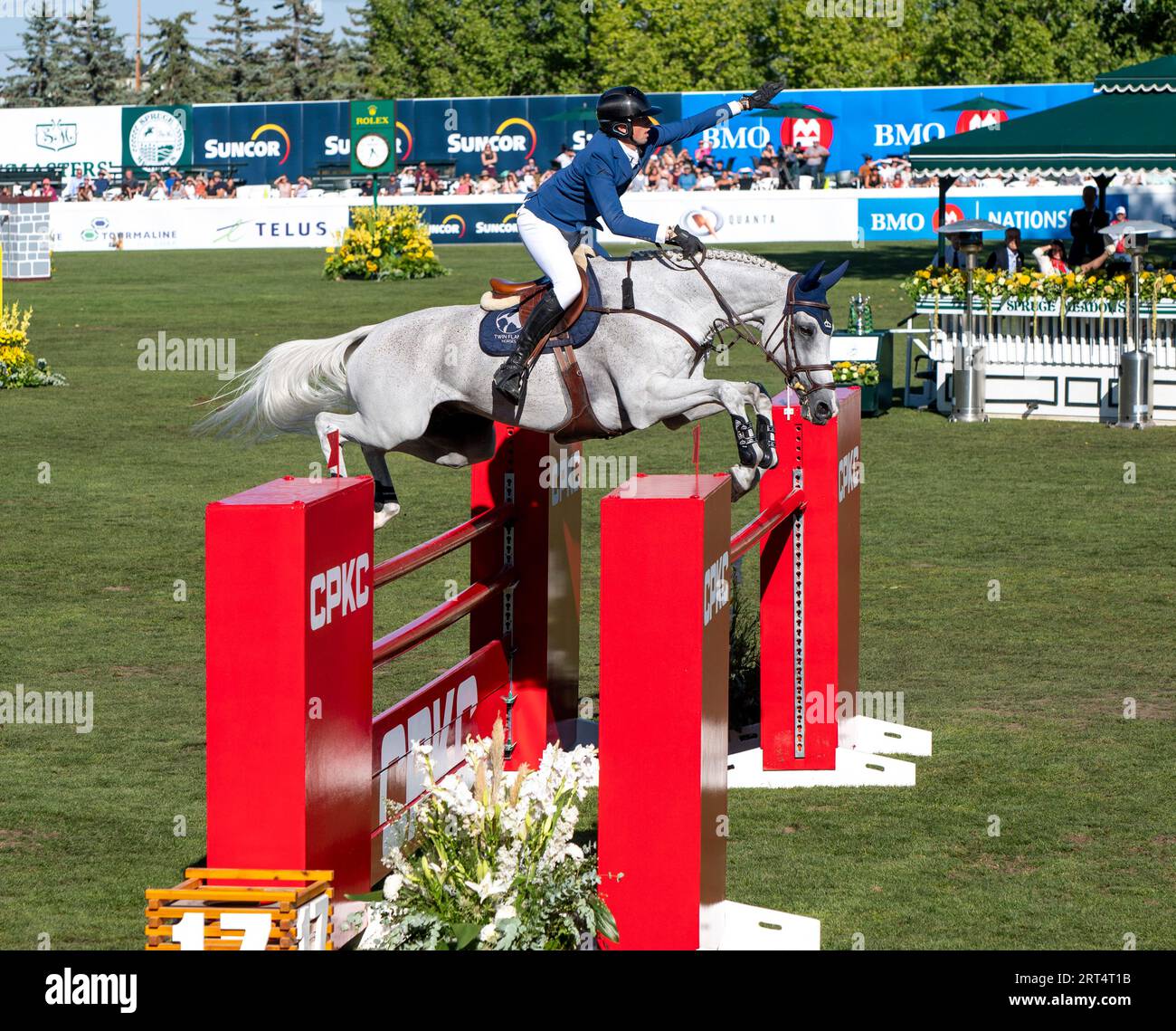 Jumps the last fence to win hi-res stock photography and images - Alamy
