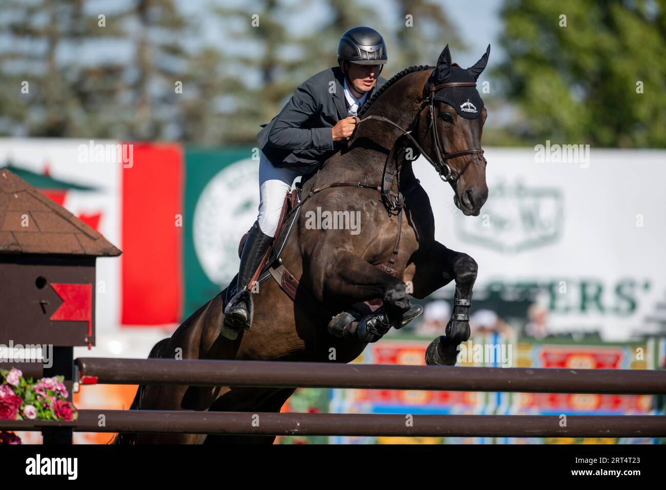 Bertram allen pacino amiro hi-res stock photography and images - Alamy