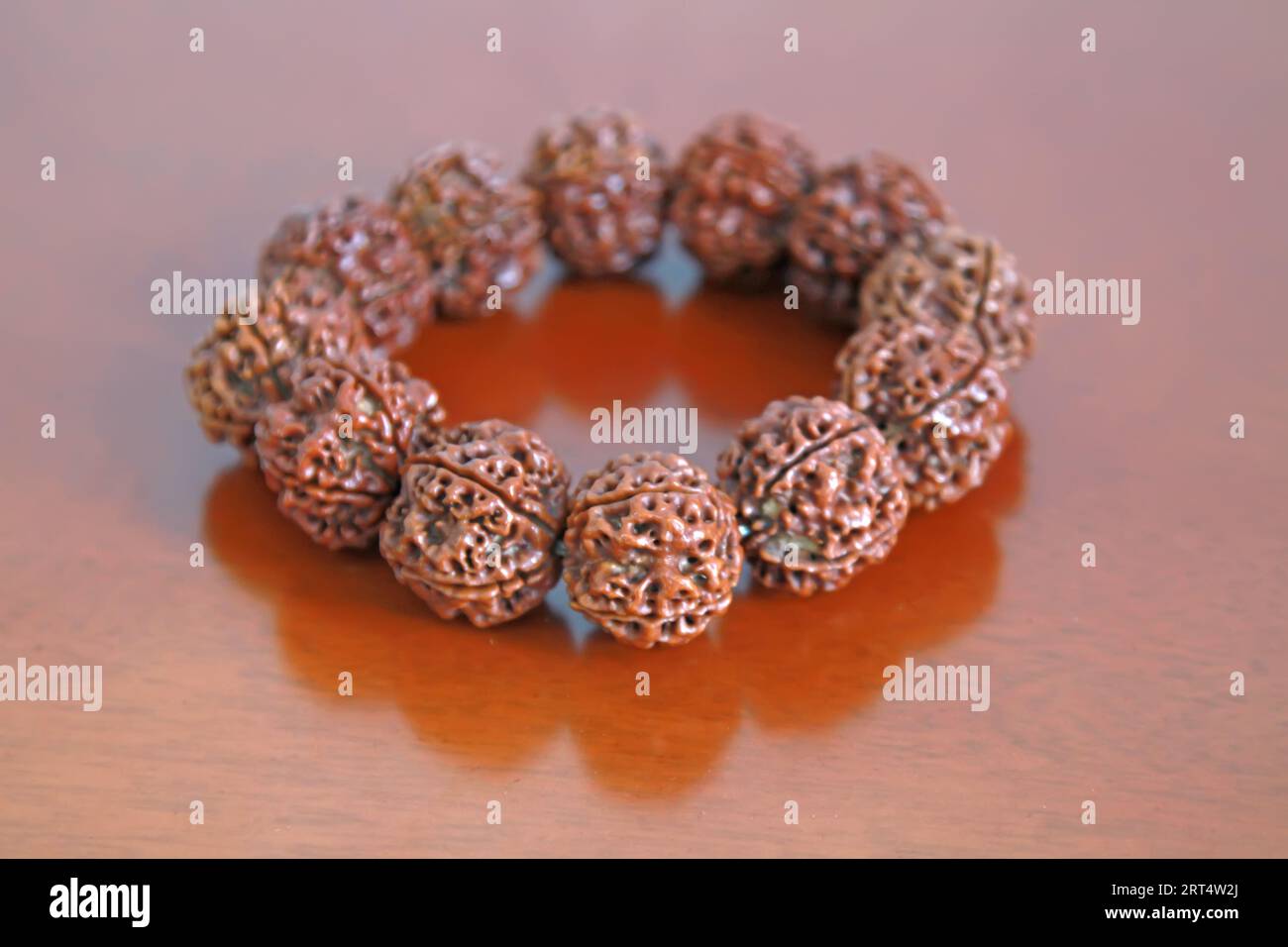 Jin Gang Bodhi string Stock Photo - Alamy