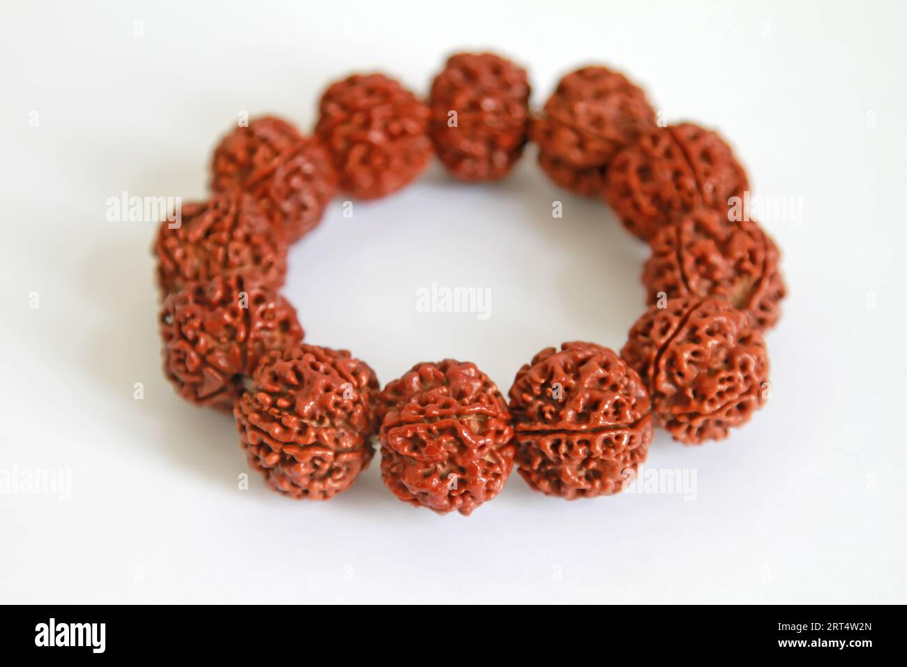 Jin Gang Bodhi string Stock Photo - Alamy