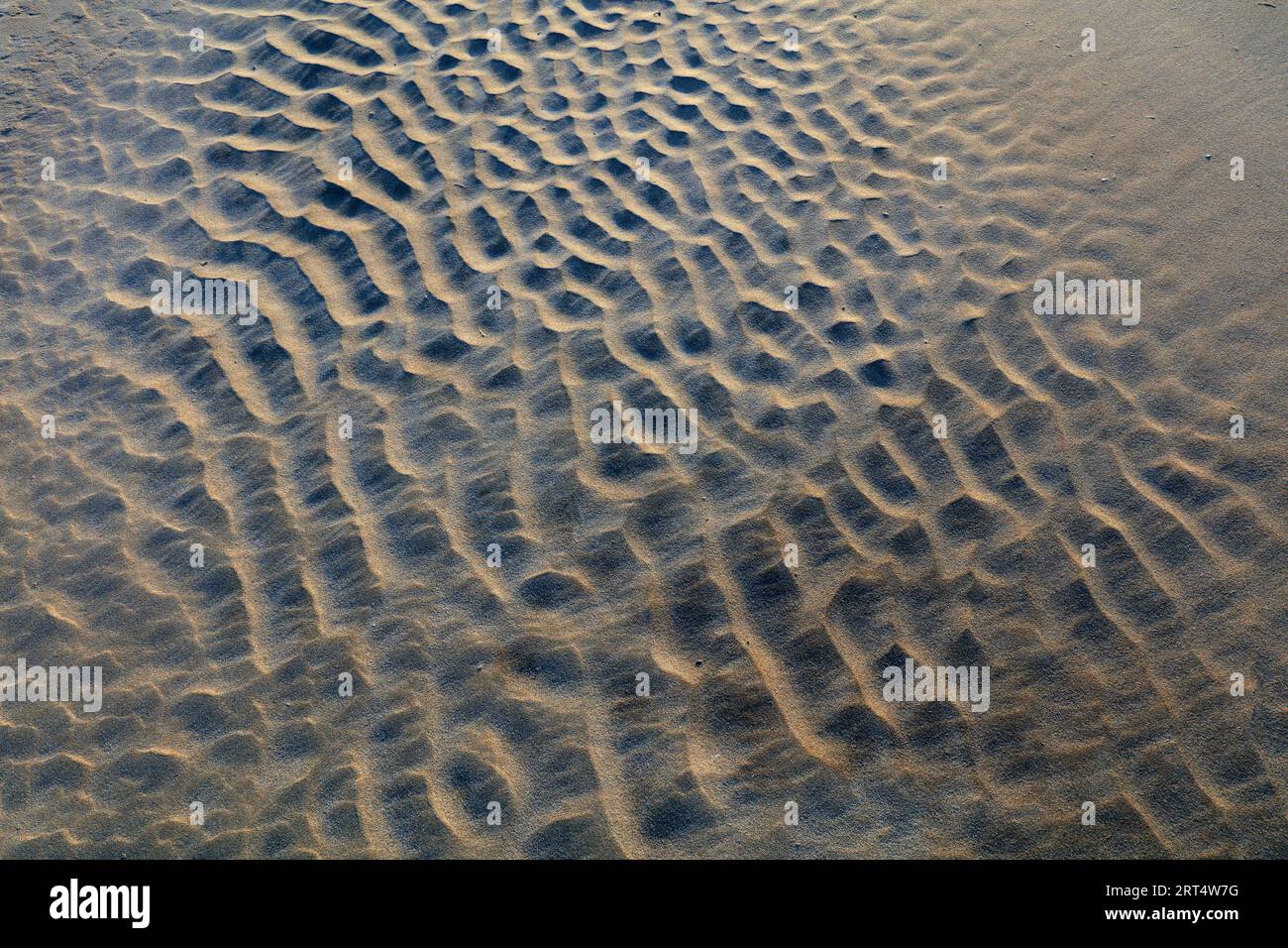 Sandy beach texture background Stock Photo - Alamy