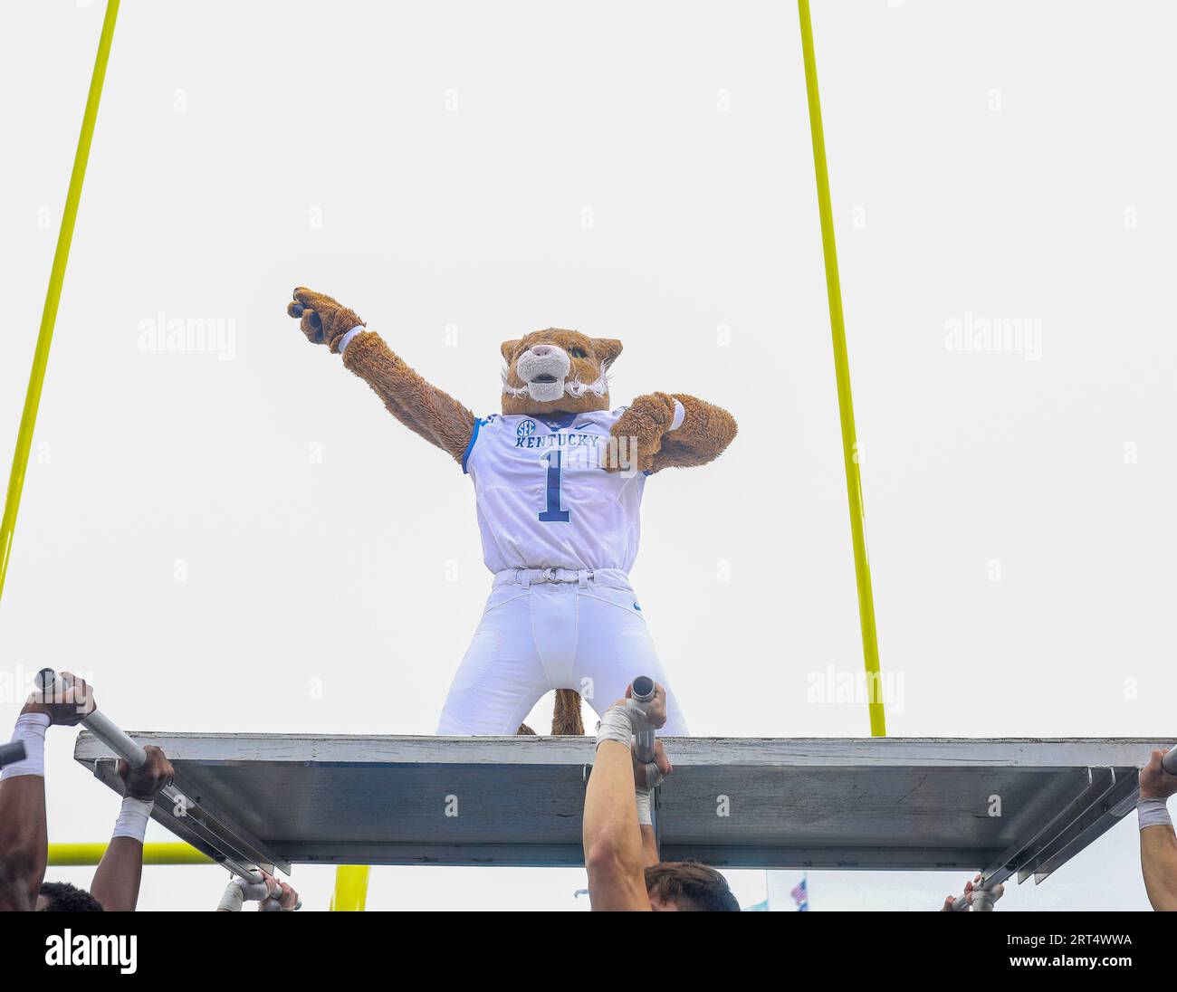 Kentucky wildcats mascot hi-res stock photography and images - Alamy