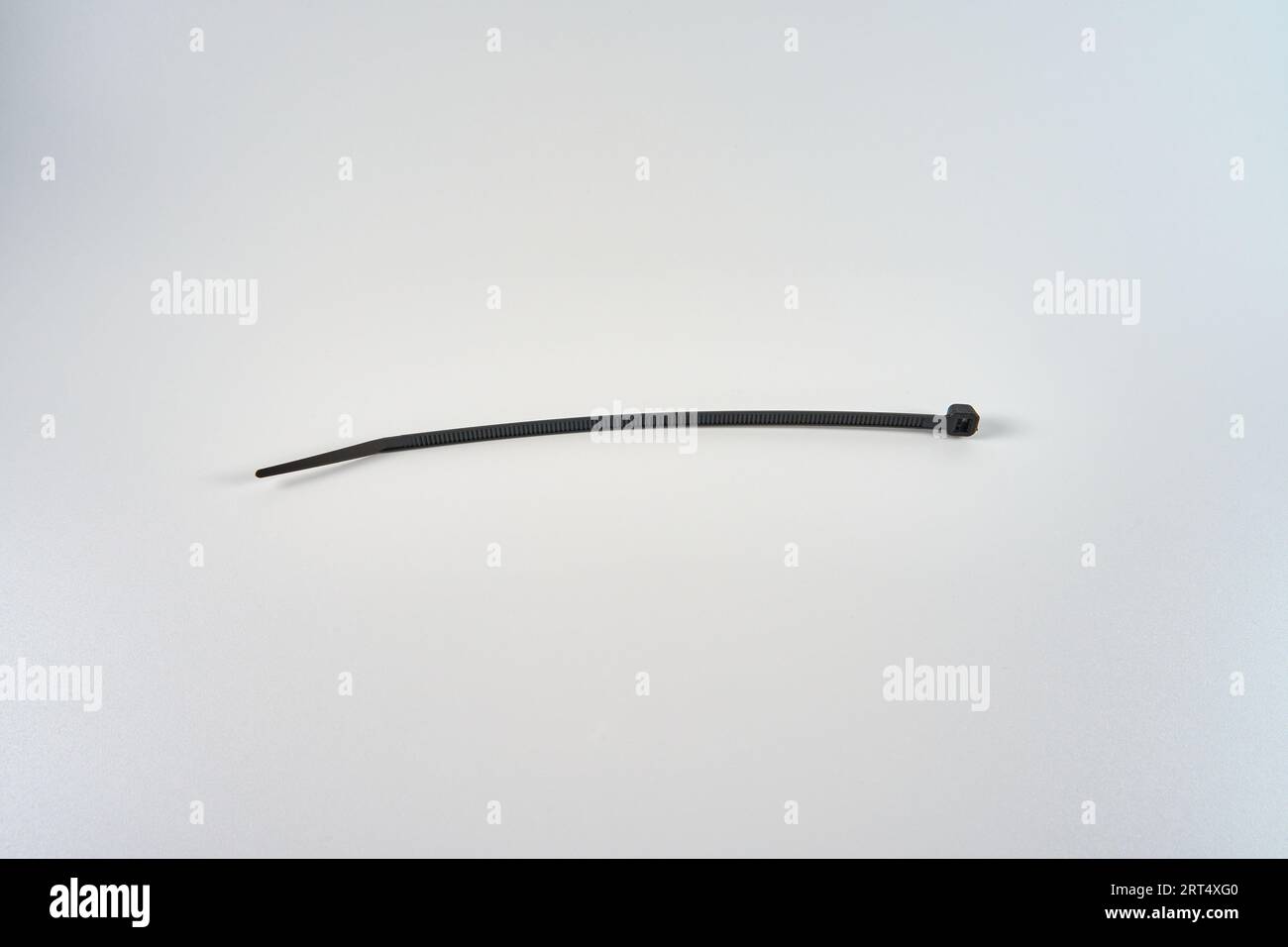 One zip tie on a white background Stock Photo - Alamy