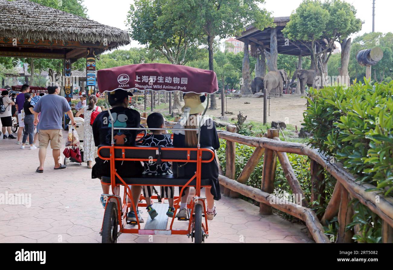 SHANGHAI, CHINA - SEPTEMBER 10, 2023 - Visitors ride a family ...