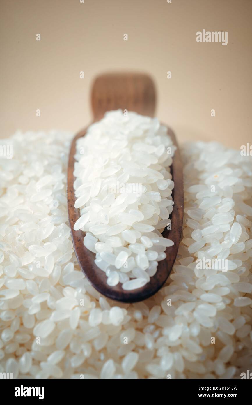 Asian rice, Vietnam rice is the best rice in Asia, hi res photo Stock ...