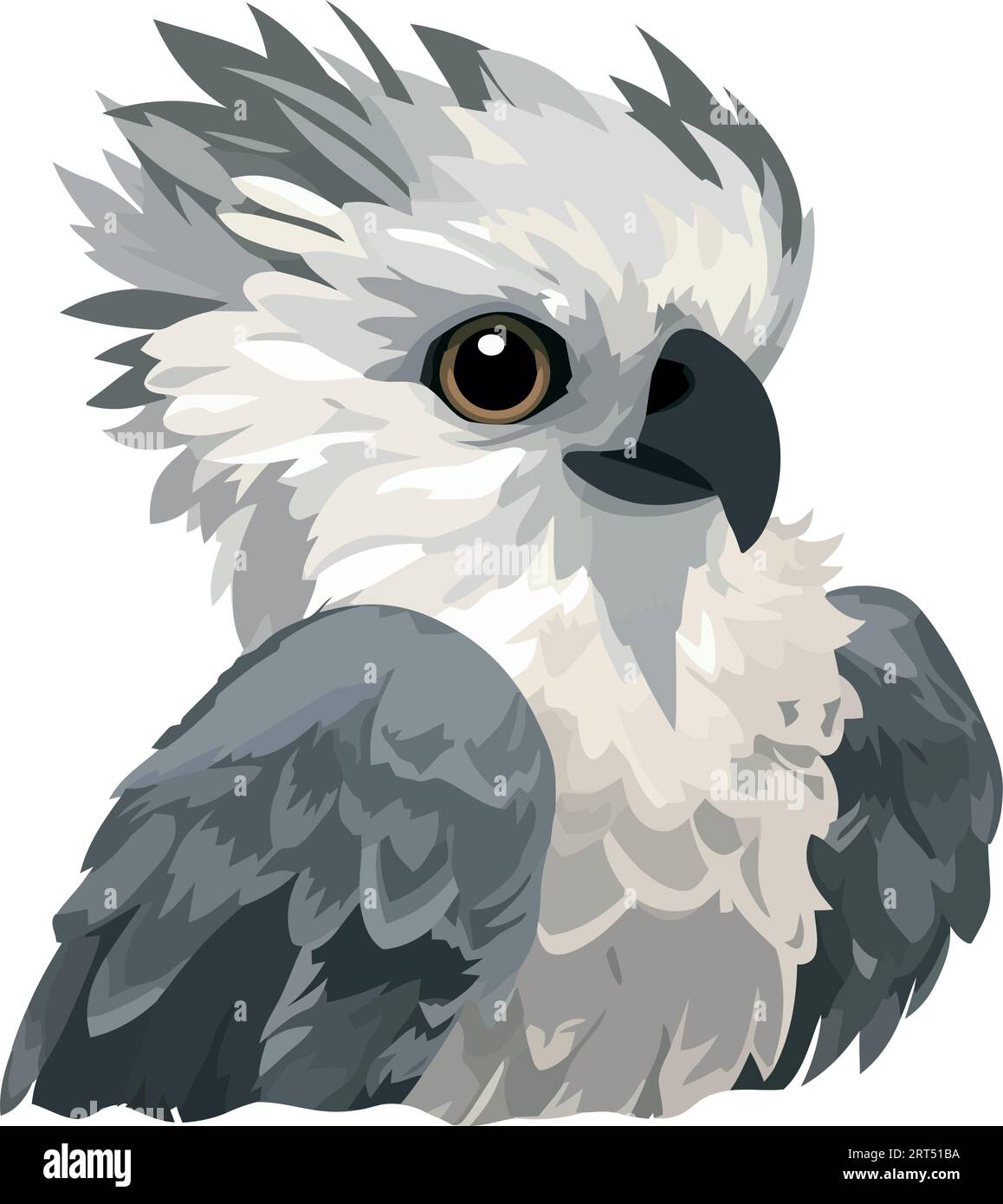 eagle animal bird icon Stock Vector Image & Art - Alamy