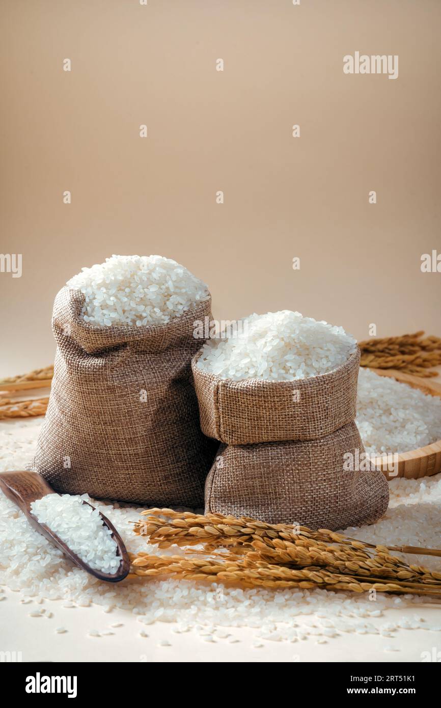 Asian rice, Vietnam rice is the best rice in Asia, hi res photo Stock ...