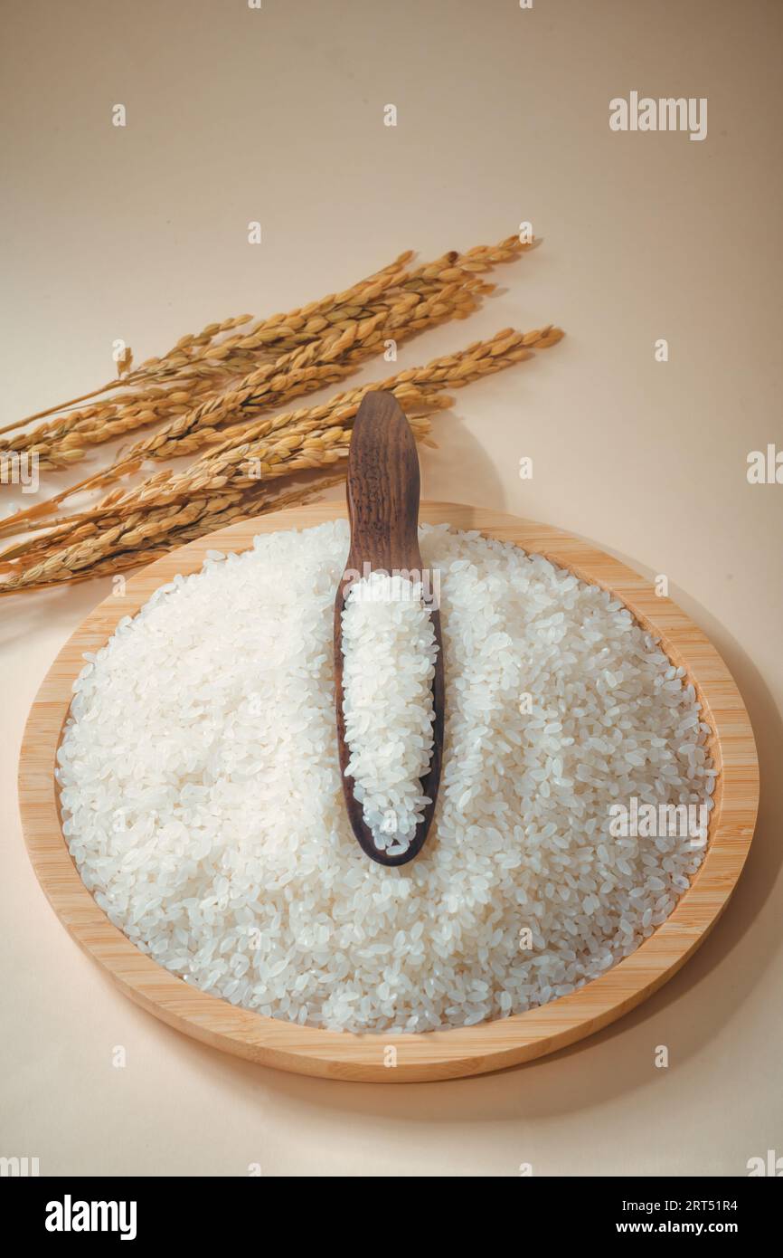 Asian rice, Vietnam rice is the best rice in Asia, hi res photo Stock ...