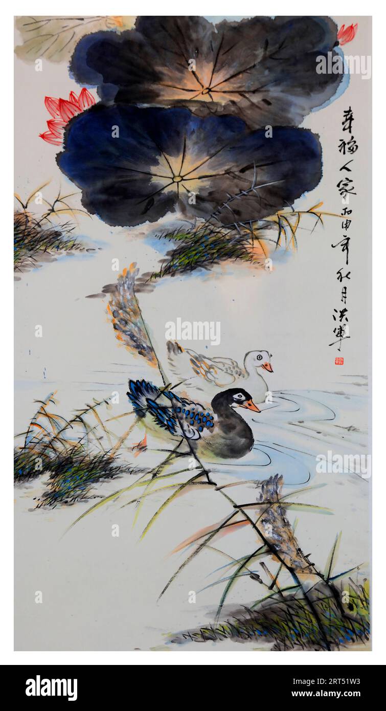 Aquatic exhibition Cut Out Stock Images & Pictures - Alamy