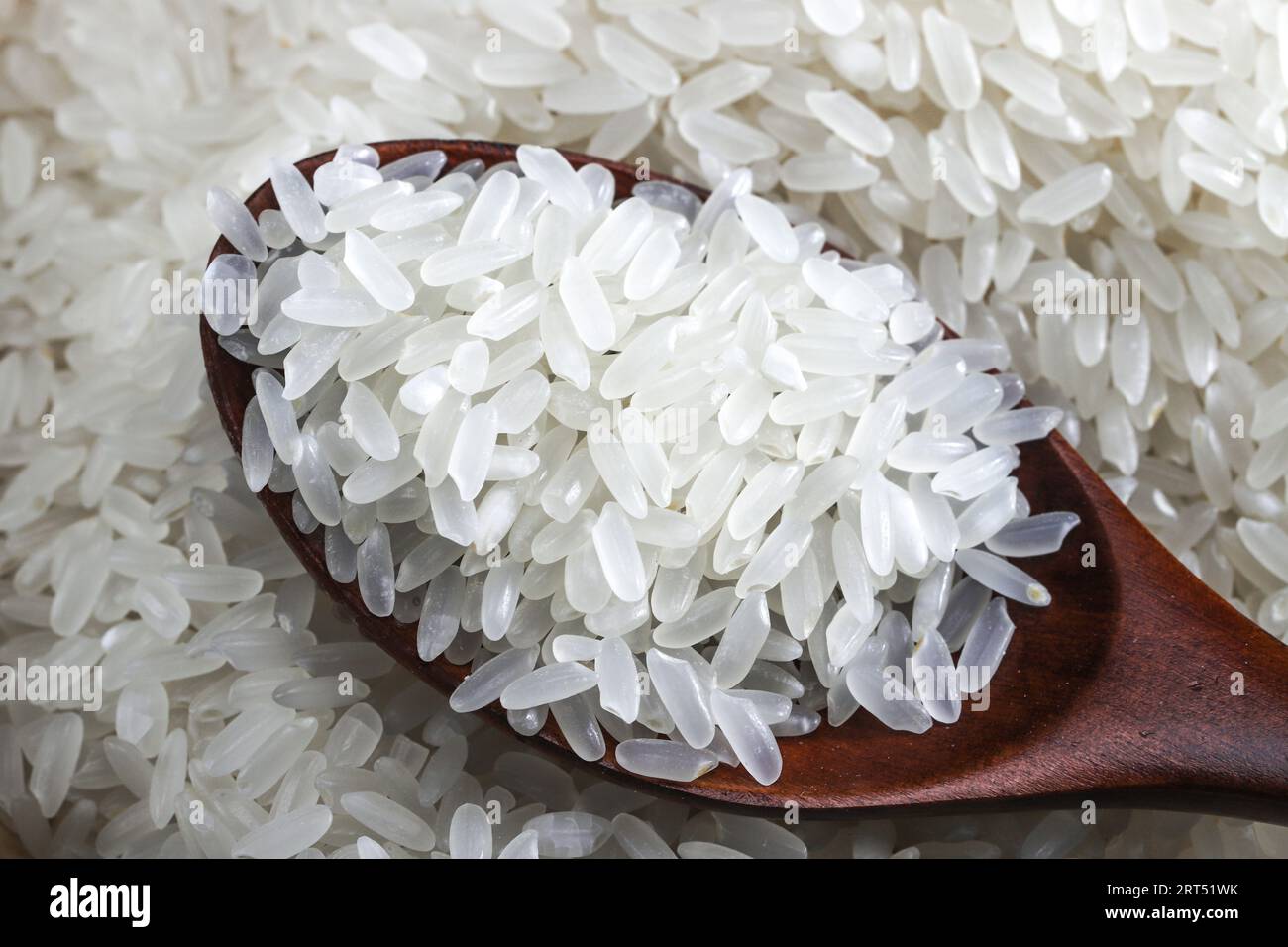 Asian rice, Vietnam rice is the best rice in Asia, hi res photo Stock ...
