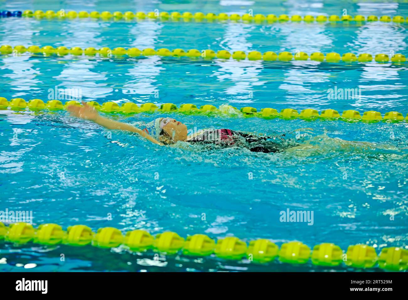 backswimmers in the swimming pool Stock Photo - Alamy