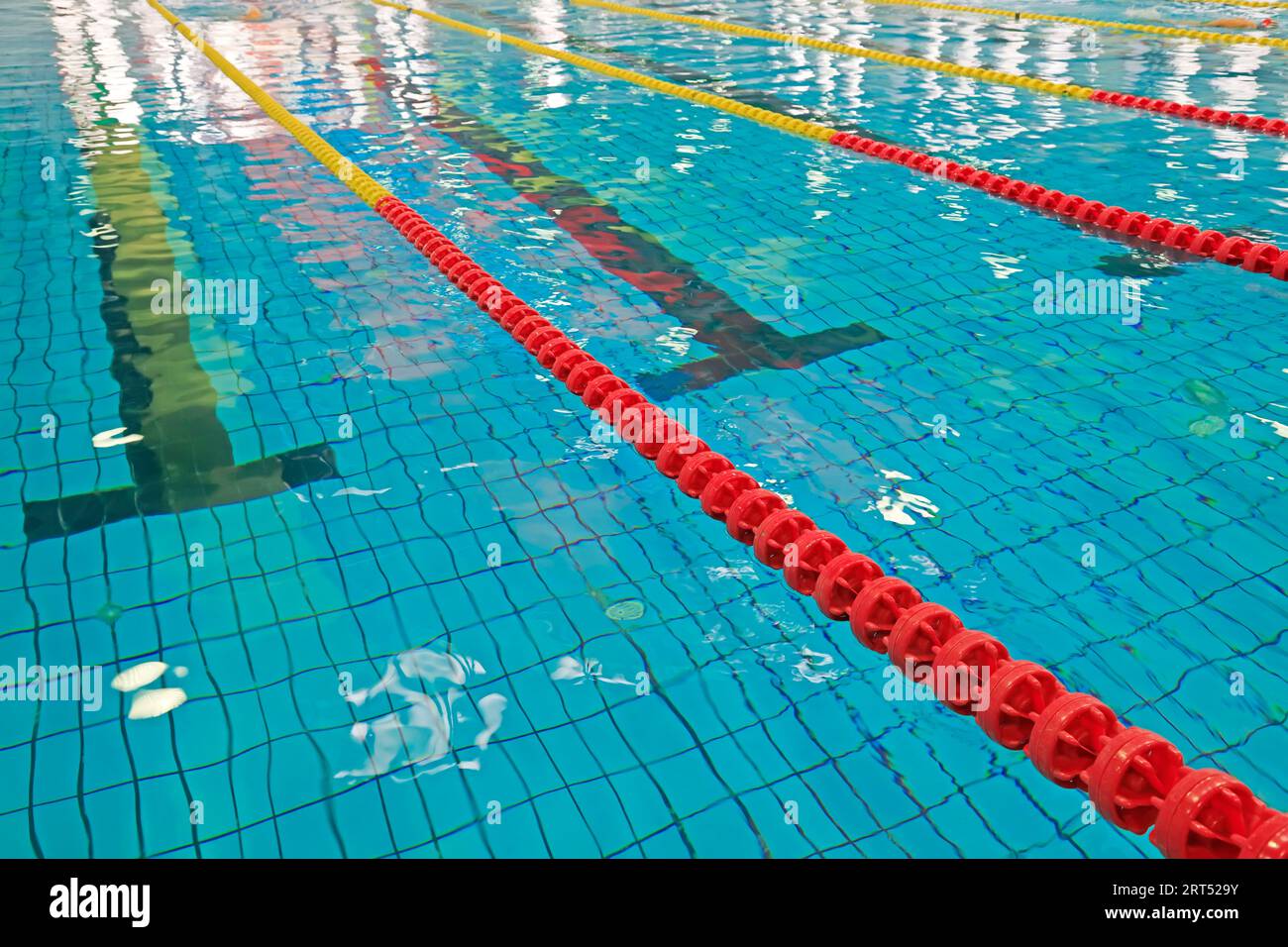 lane isolation line in a swimming pool Stock Photo - Alamy
