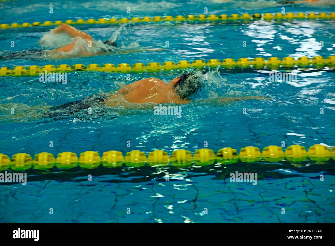 Indoor swimming competition Stock Photo - Alamy