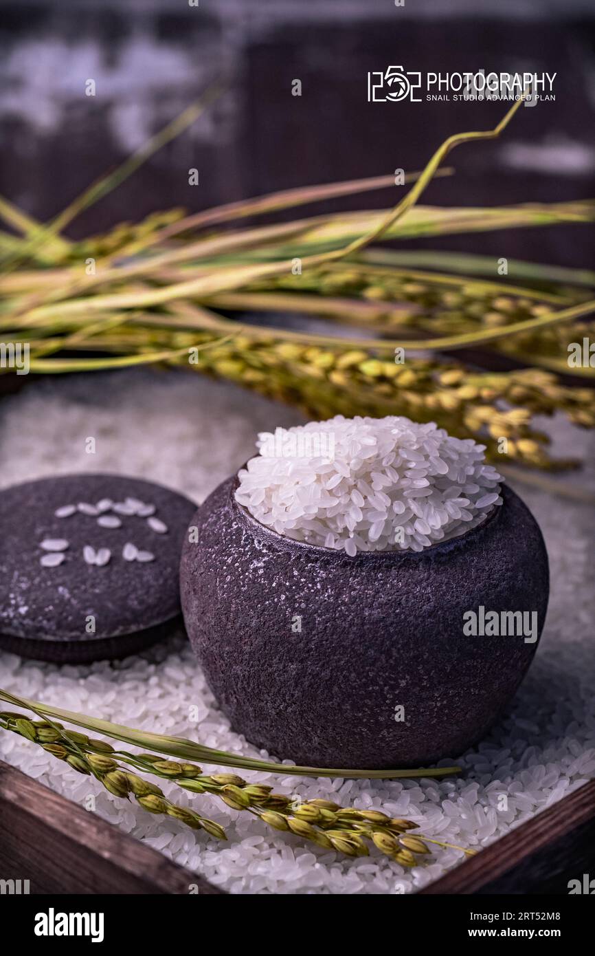 Asian rice, Vietnam rice is the best rice in Asia, hi res photo Stock ...