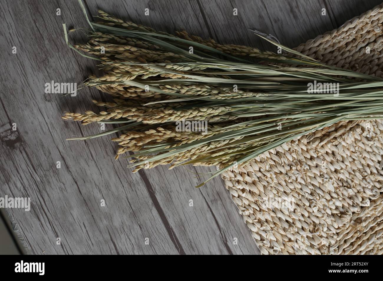 Asian rice, Vietnam rice is the best rice in Asia, hi res photo Stock ...
