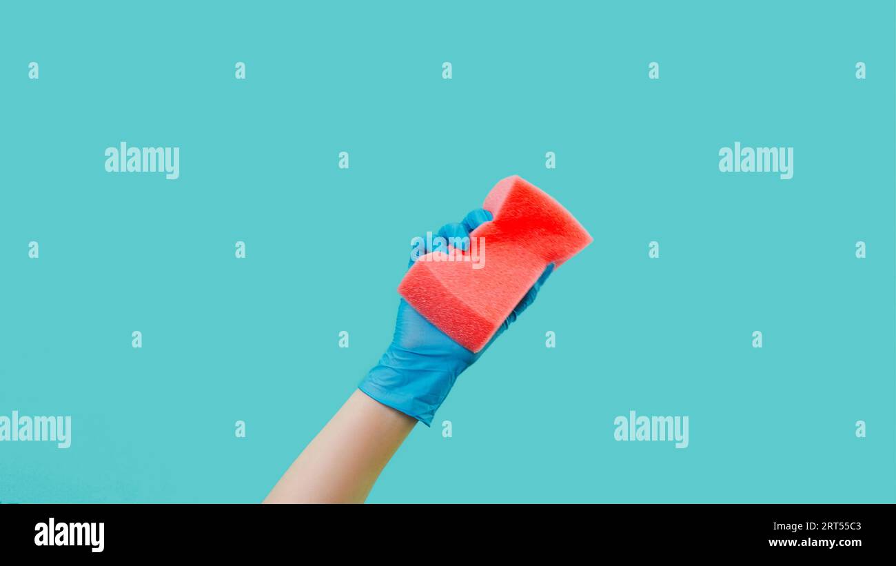 Surface cleaning tool hand gloves squeezing sponge Stock Photo - Alamy