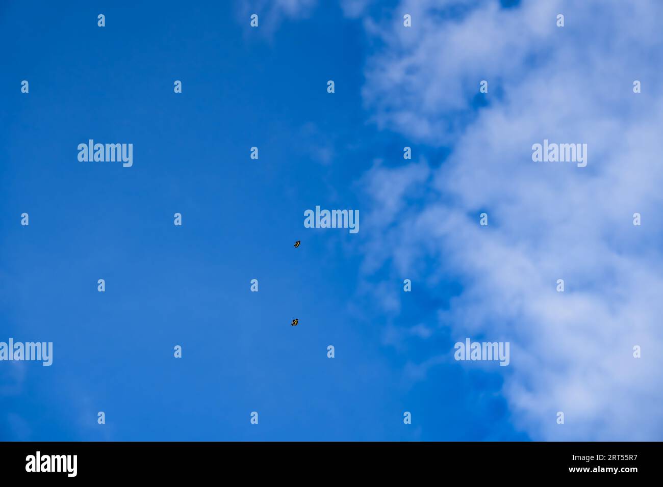 Summer blue sky cloud gradient light white background. Beauty clear ...