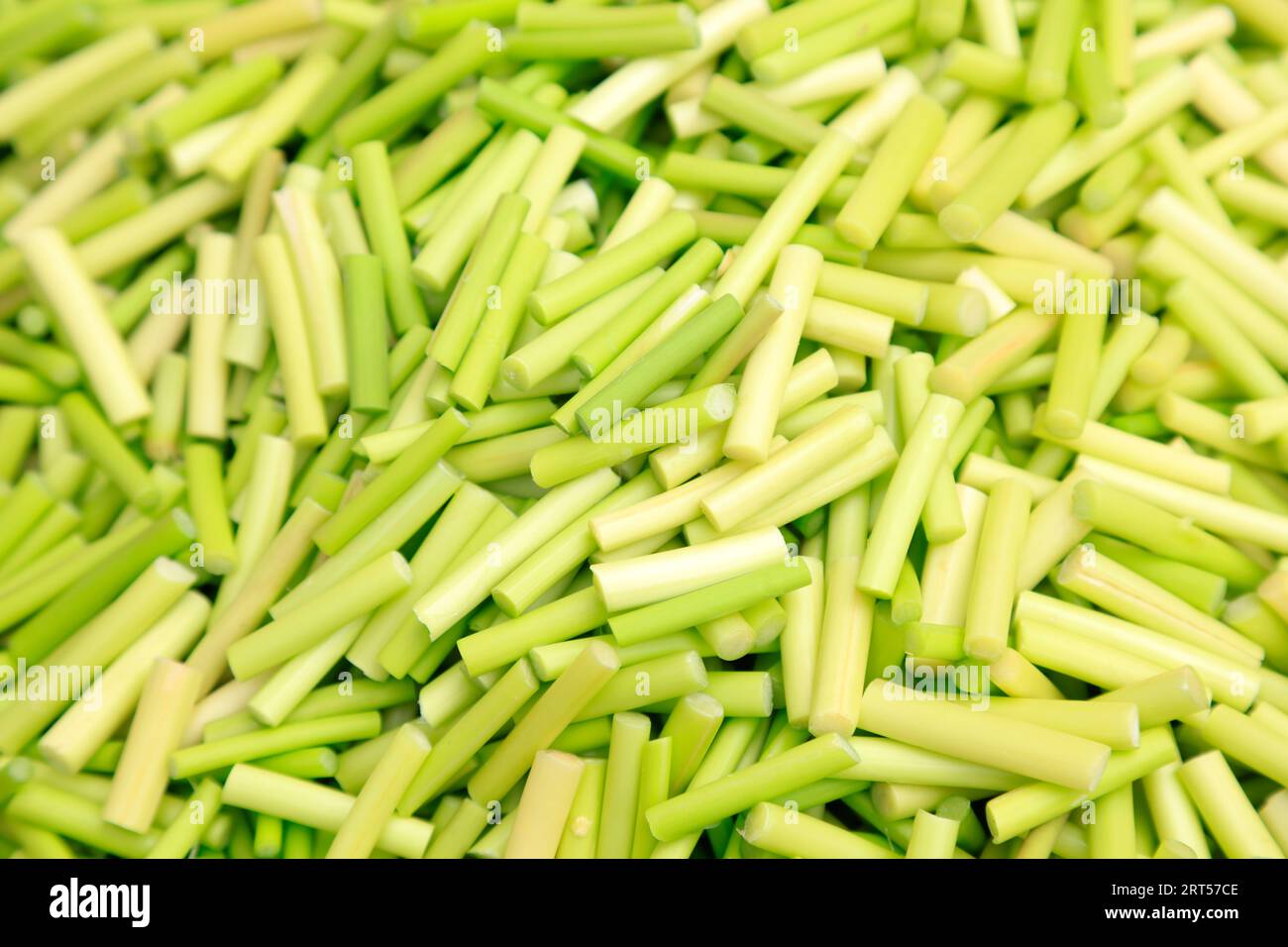 Garlic shoot hi-res stock photography and images - Alamy