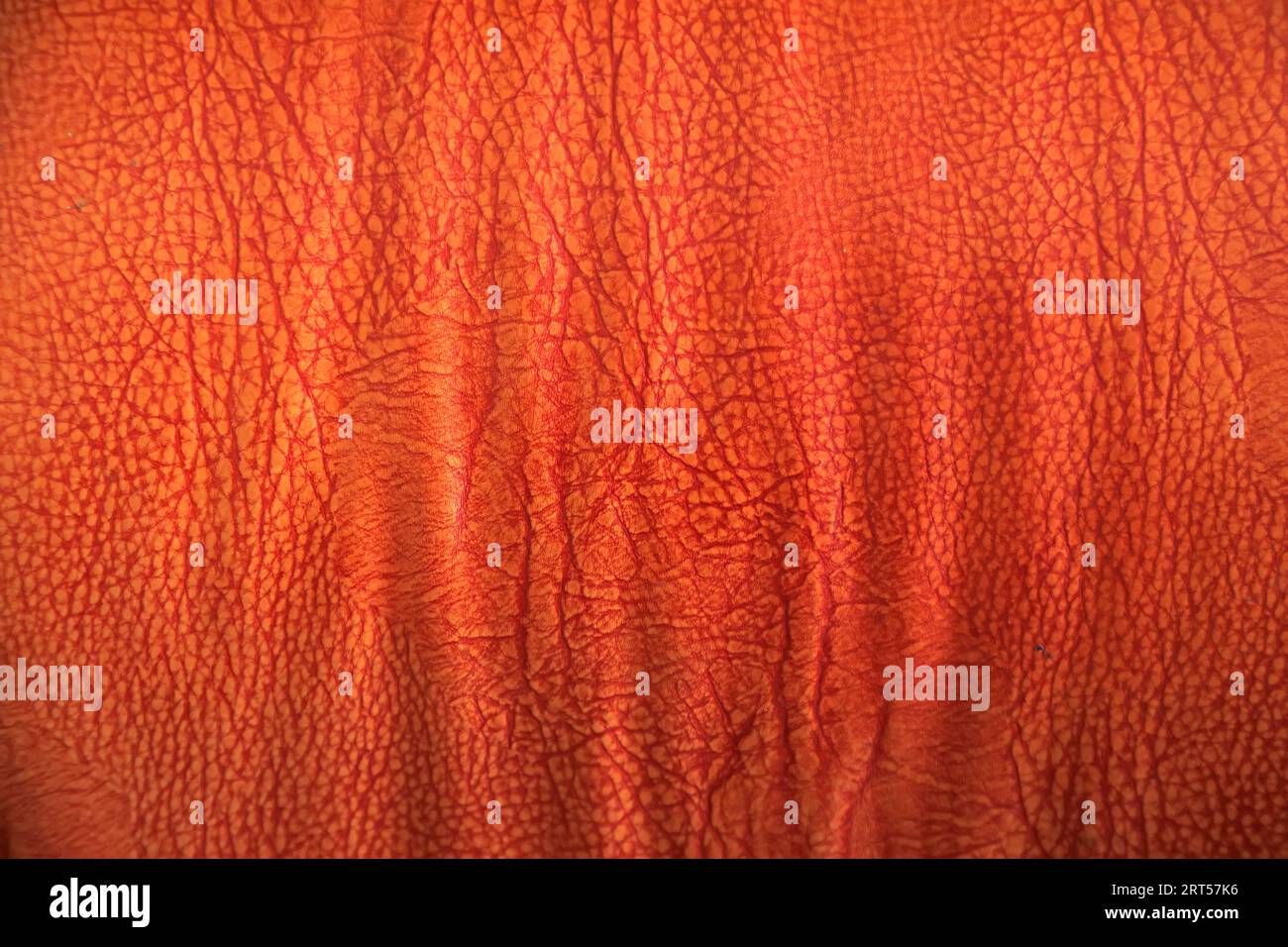 leather texture close-up Stock Photo - Alamy