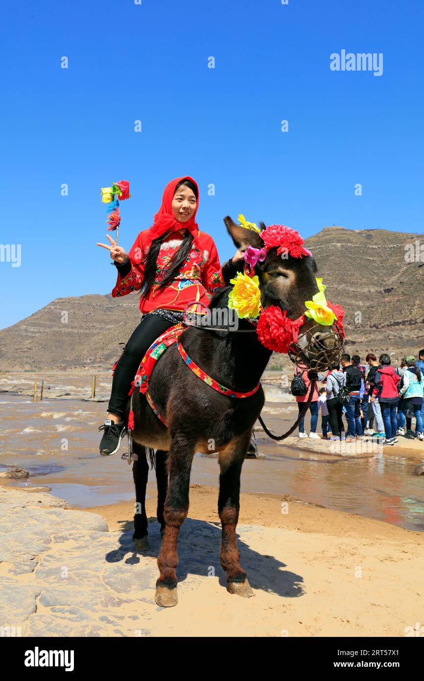 Young chinese woman riding horse hi-res stock photography and images ...