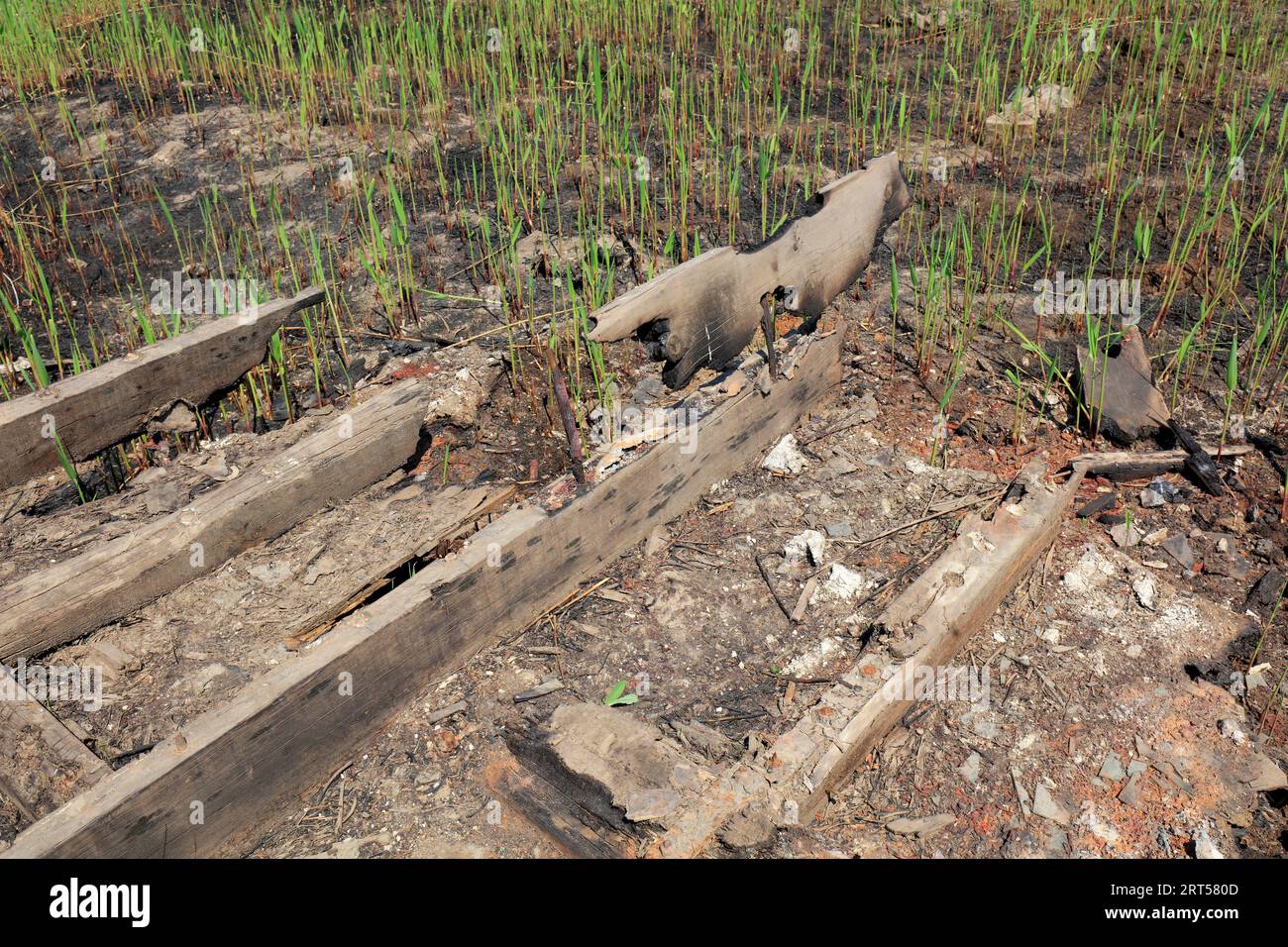 Death boards hi-res stock photography and images - Alamy