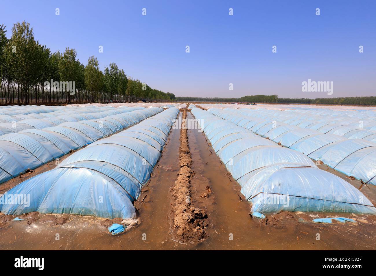 Plastic arch hi-res stock photography and images - Alamy