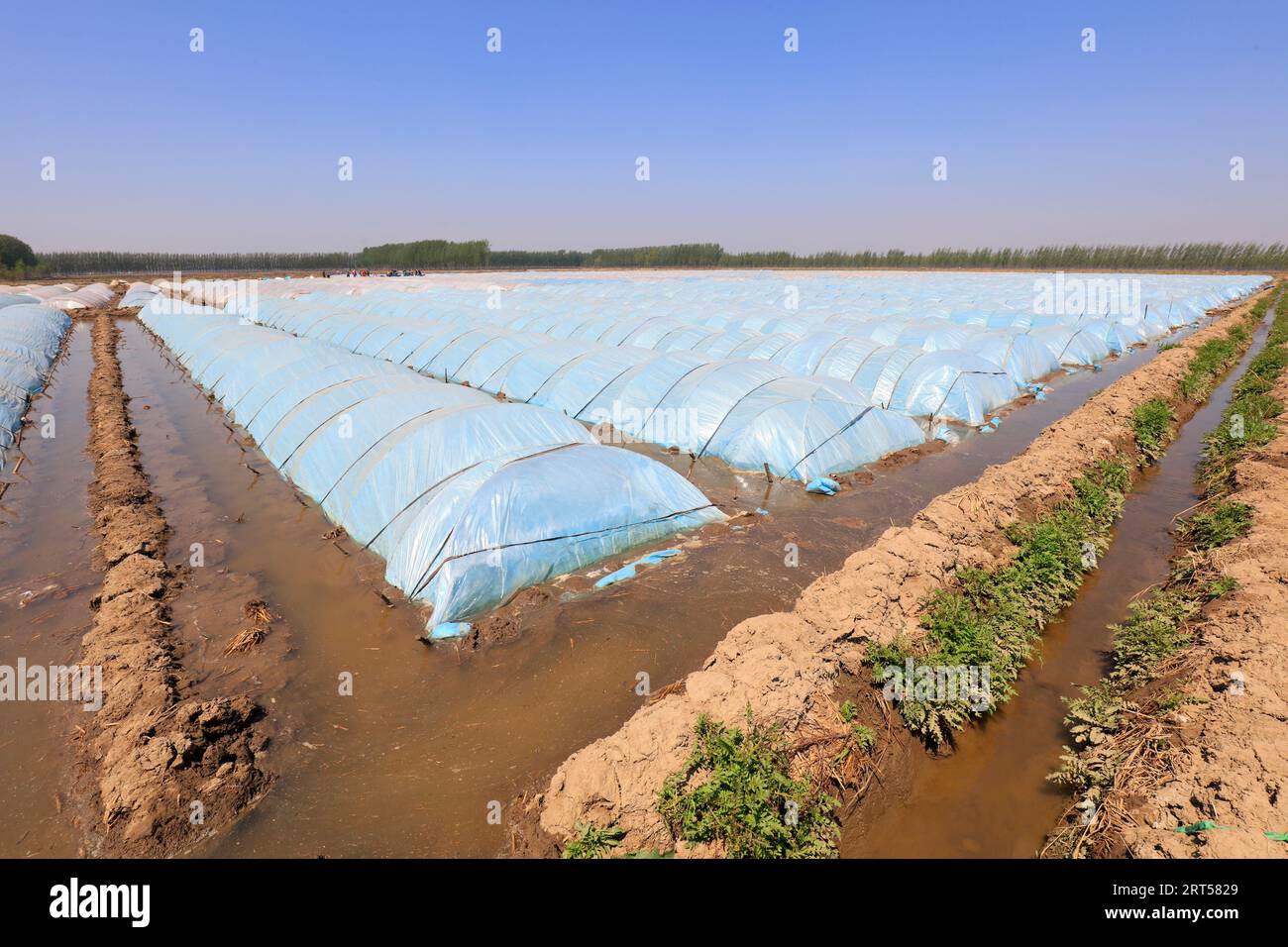 Arch resources hi-res stock photography and images - Alamy