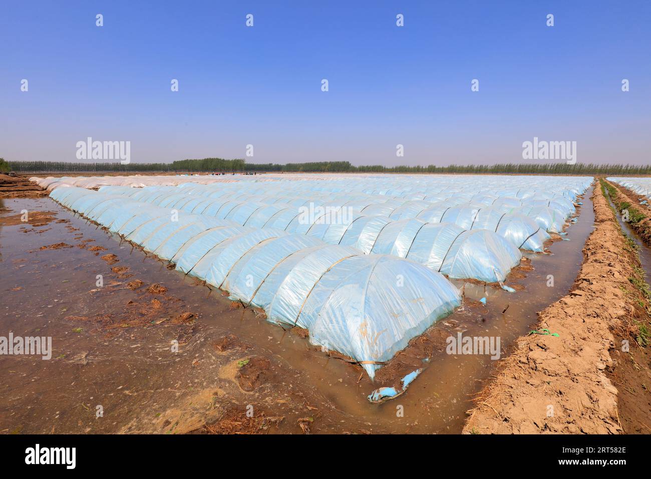 Arch resources hi-res stock photography and images - Alamy