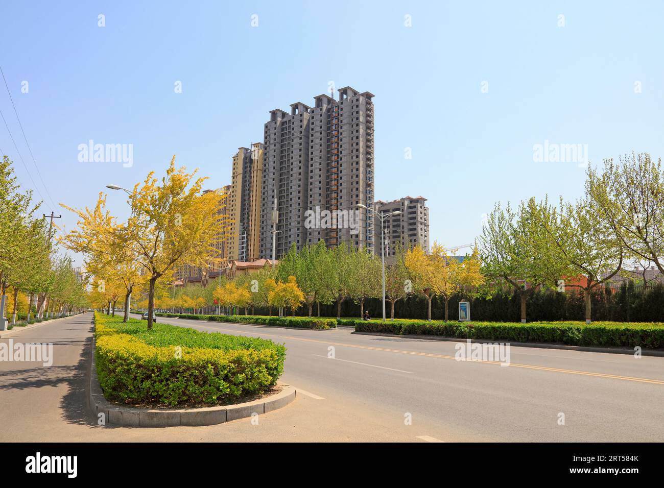 High-rise buildings and road greening Stock Photo - Alamy
