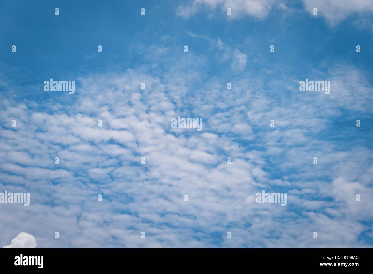 Summer blue sky cloud gradient light white background. Beauty clear ...