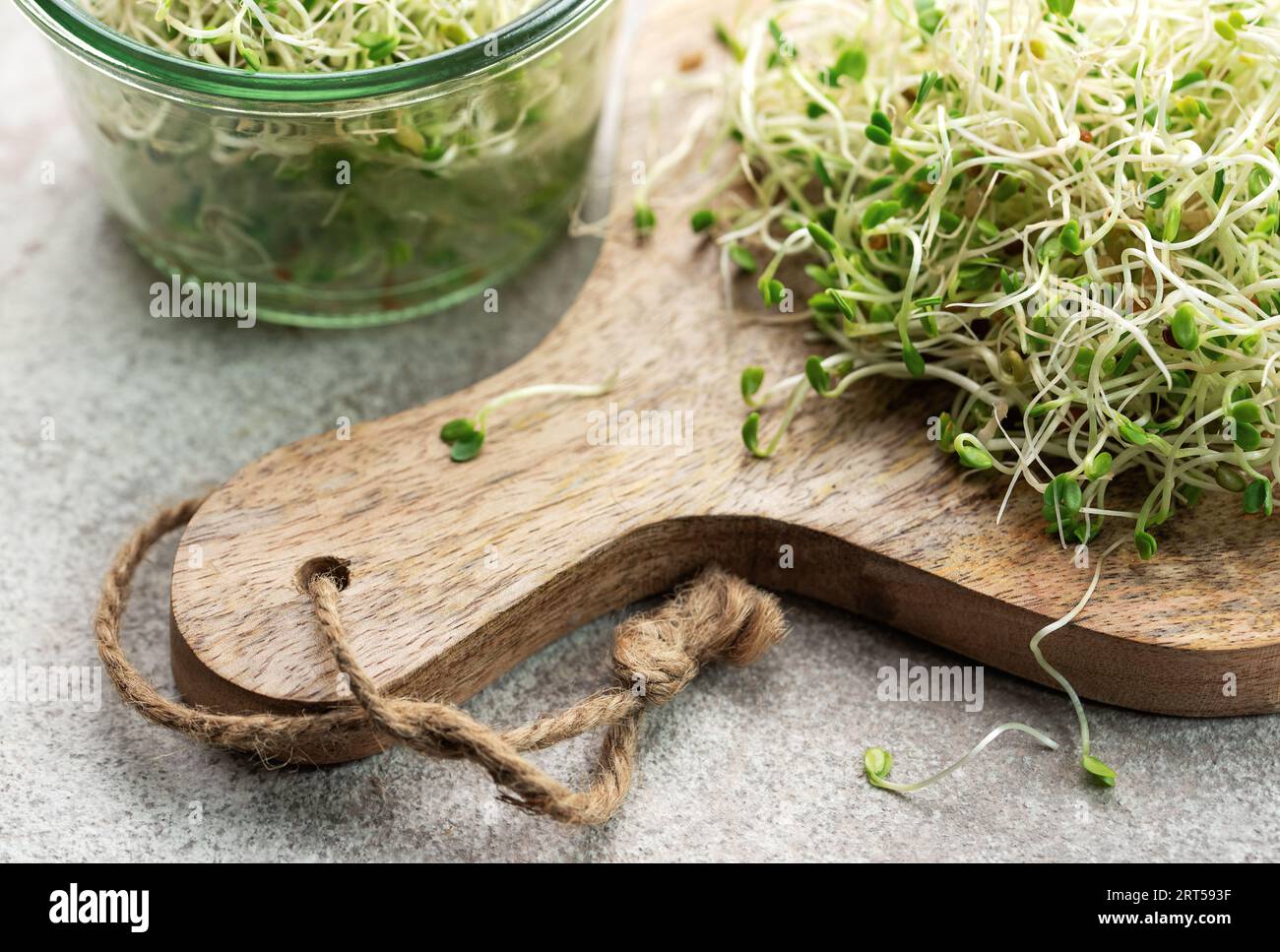 Microgreens grown in a jar. Healthy Eating Stock Photo - Alamy