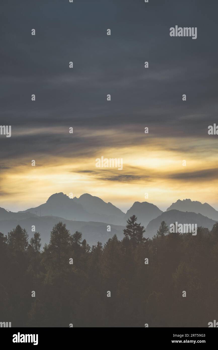 Vertical mountain landscape with forest at sunset Stock Photo - Alamy