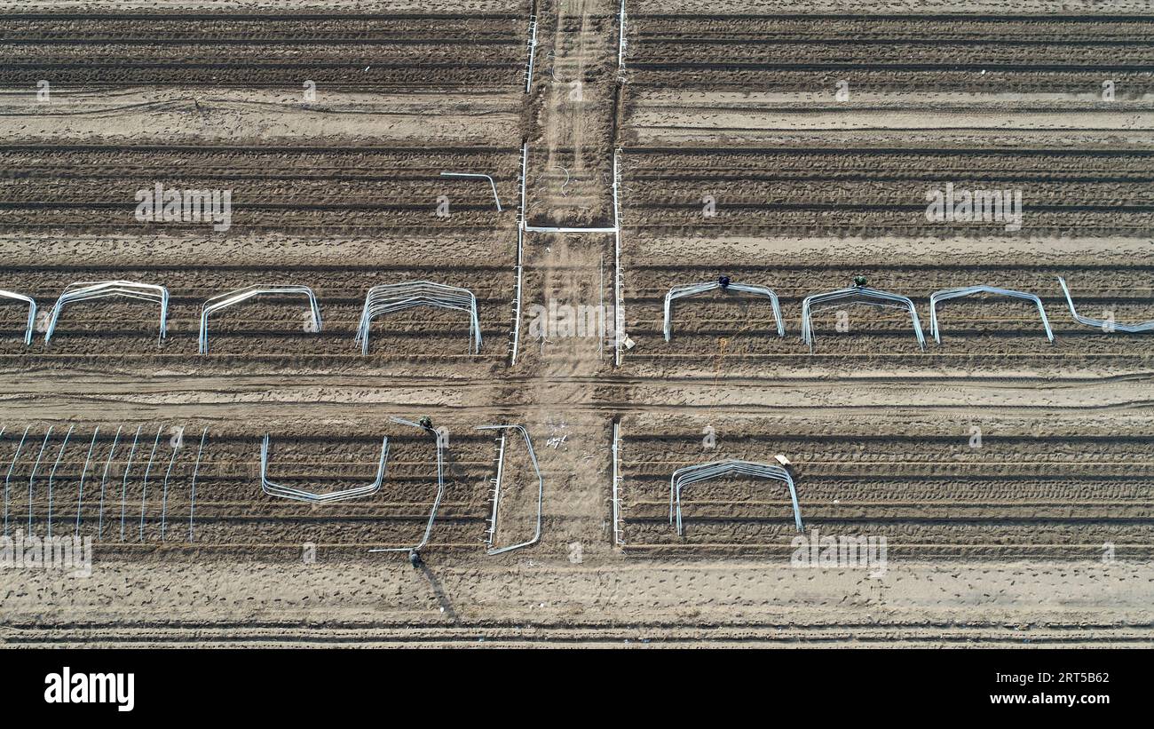 Engineering technicians install the skeleton of greenhouse and take ...