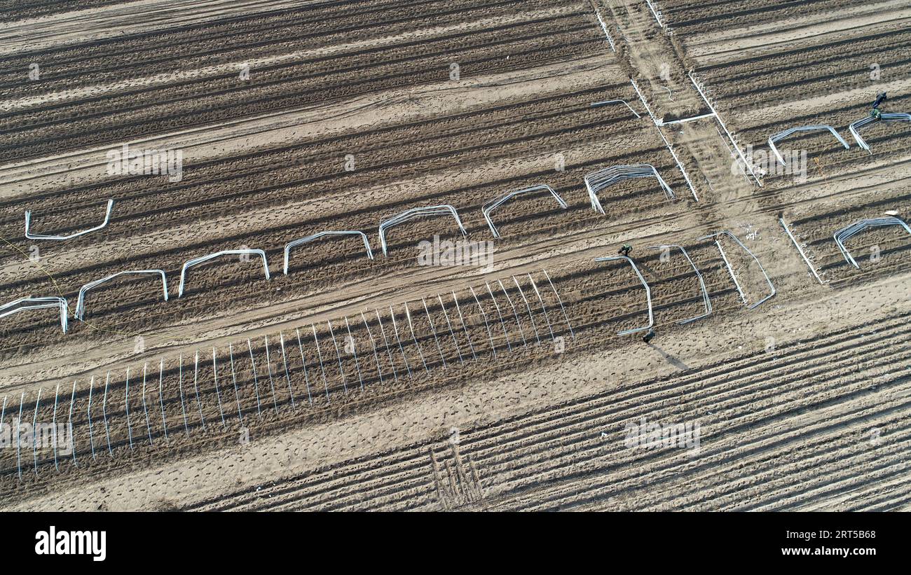 Engineering technicians install the skeleton of greenhouse and take ...