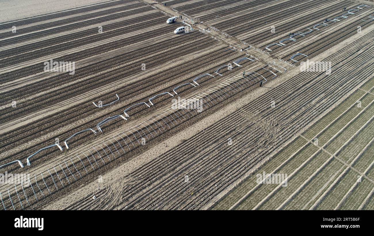 Engineering technicians install the skeleton of greenhouse and take ...