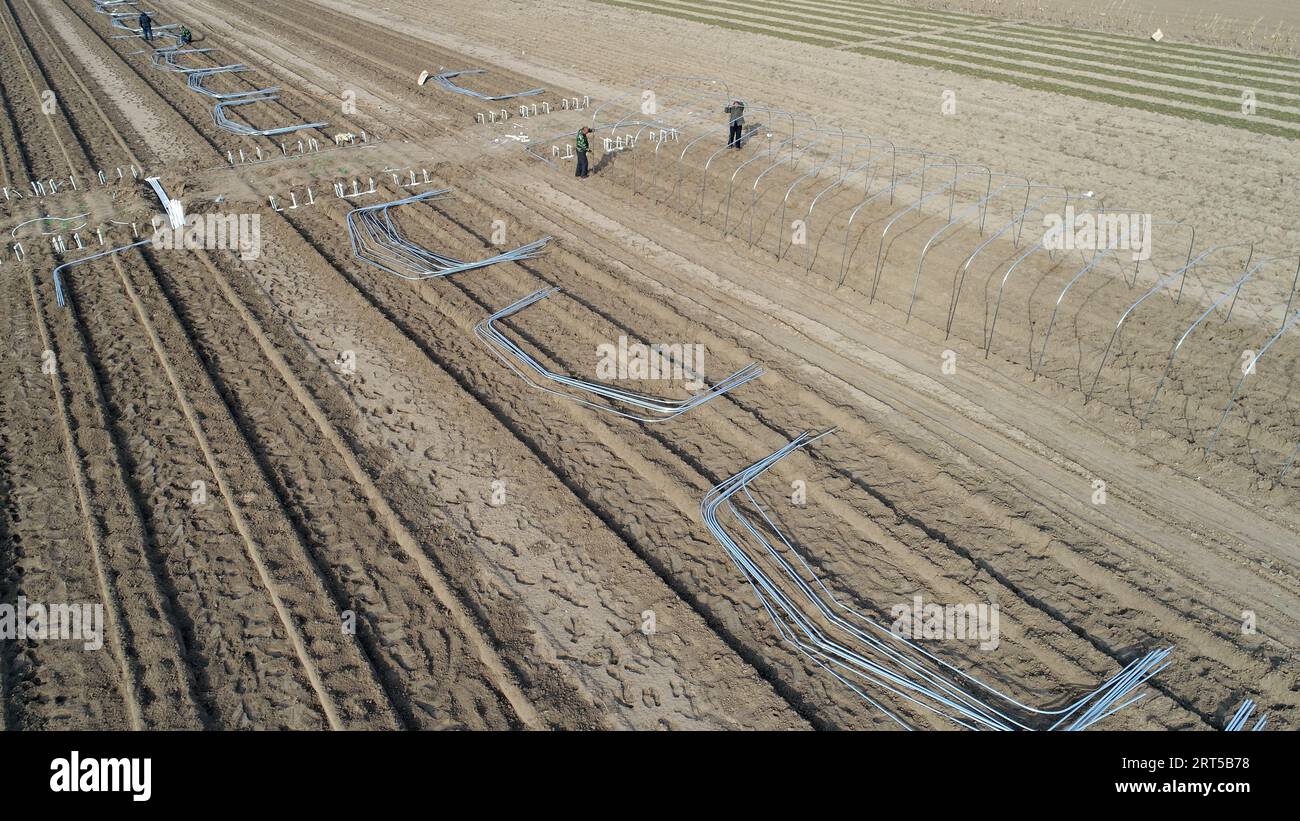 Engineering technicians install the skeleton of greenhouse and take ...