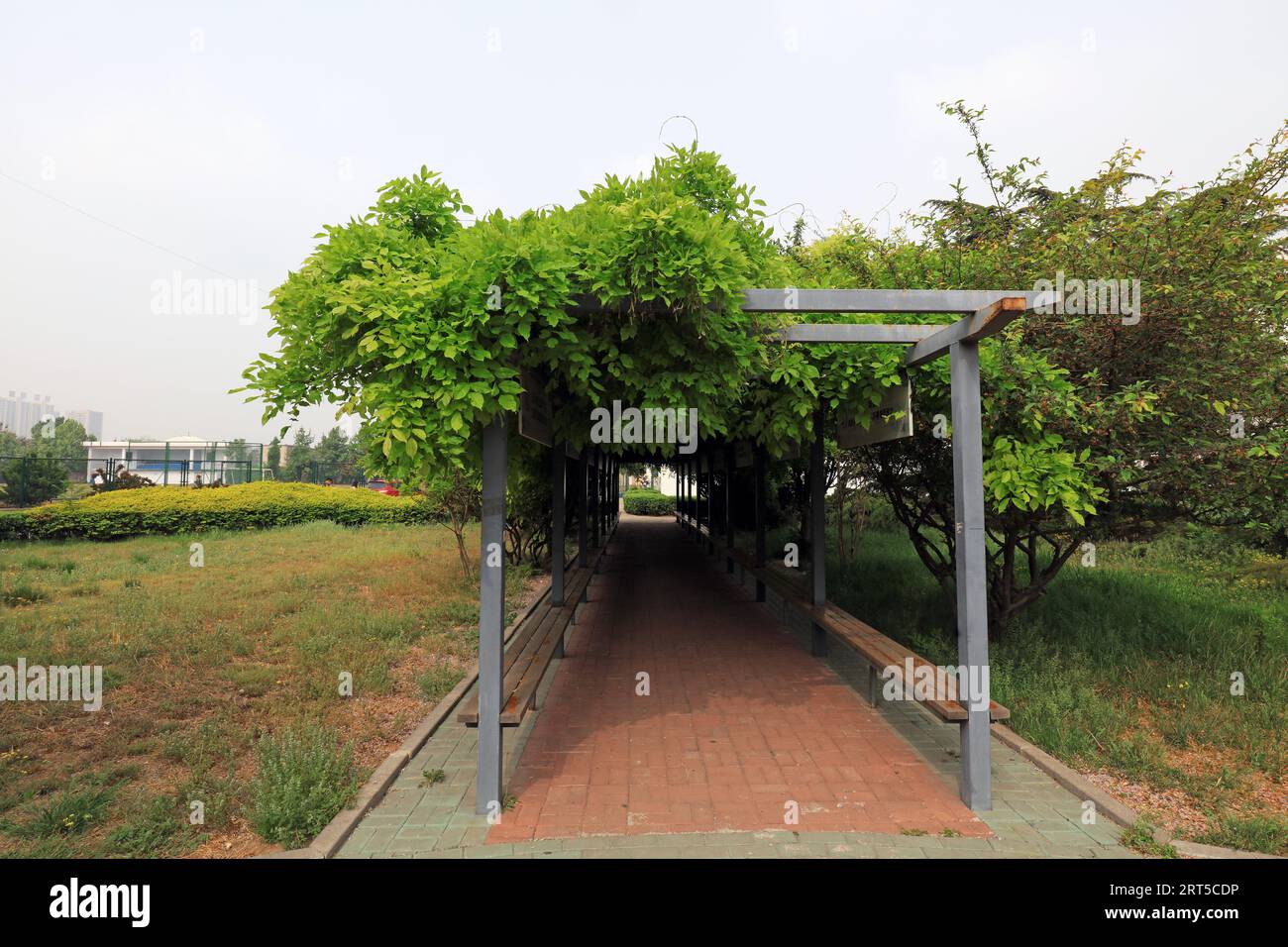 Green corridors hi-res stock photography and images - Alamy