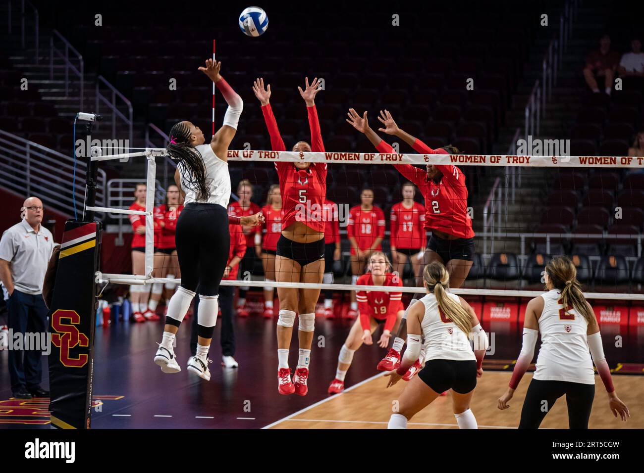 White foxes hi-res stock photography and images - Alamy