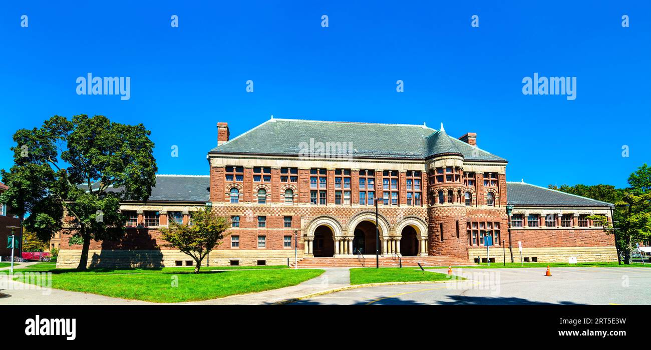 Harvard Law School Mascot