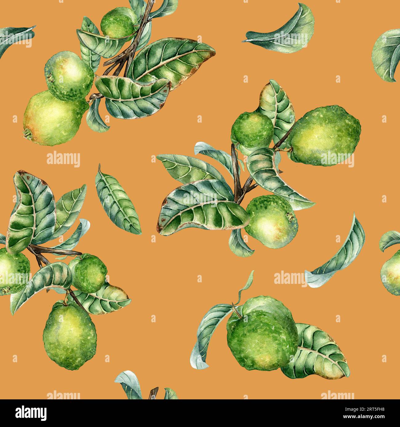 Branch of tree and single guava fruit watercolor seamless pattern ...