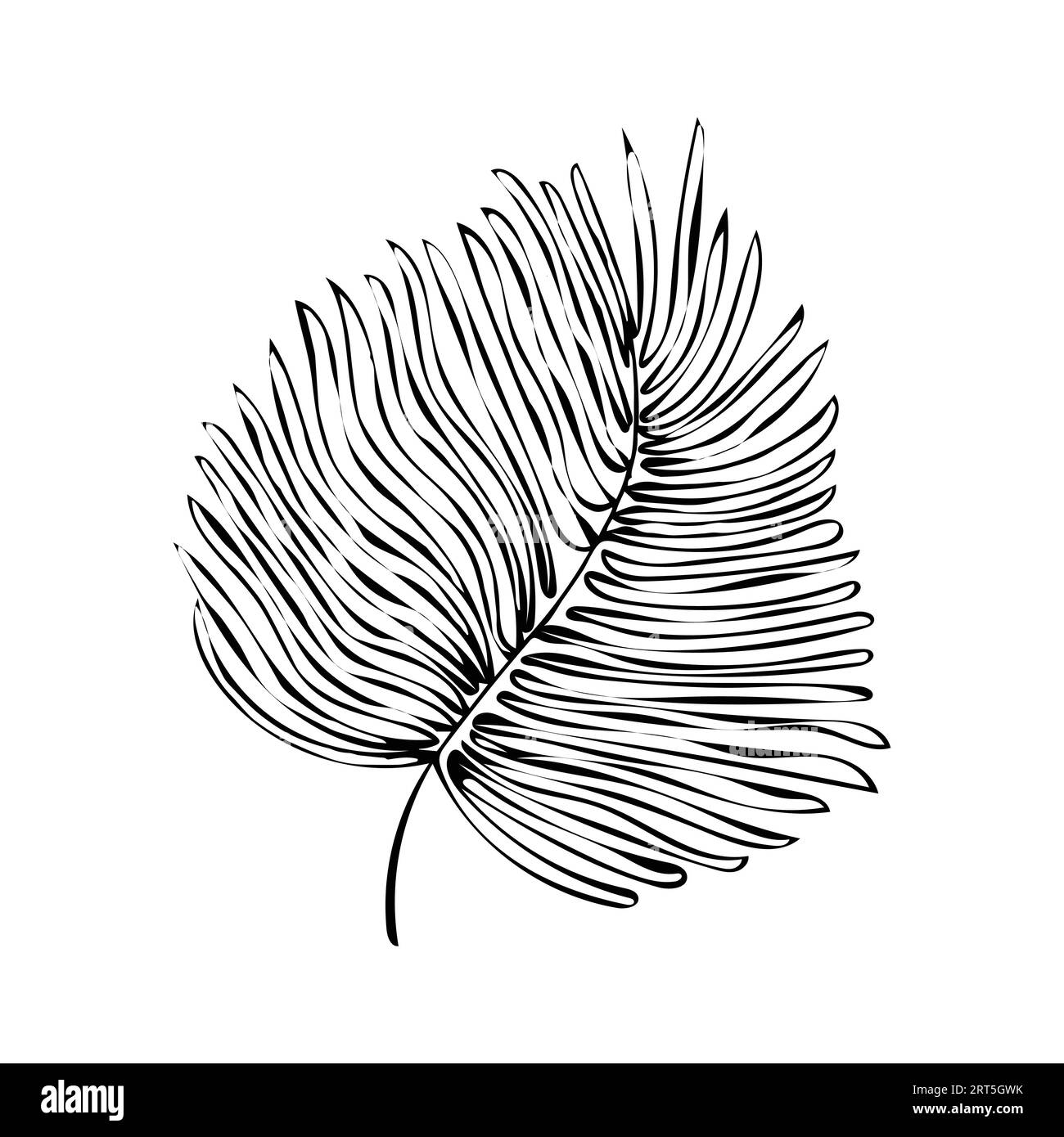 Hand-drawn feather like a leaf, element for designing , for ...