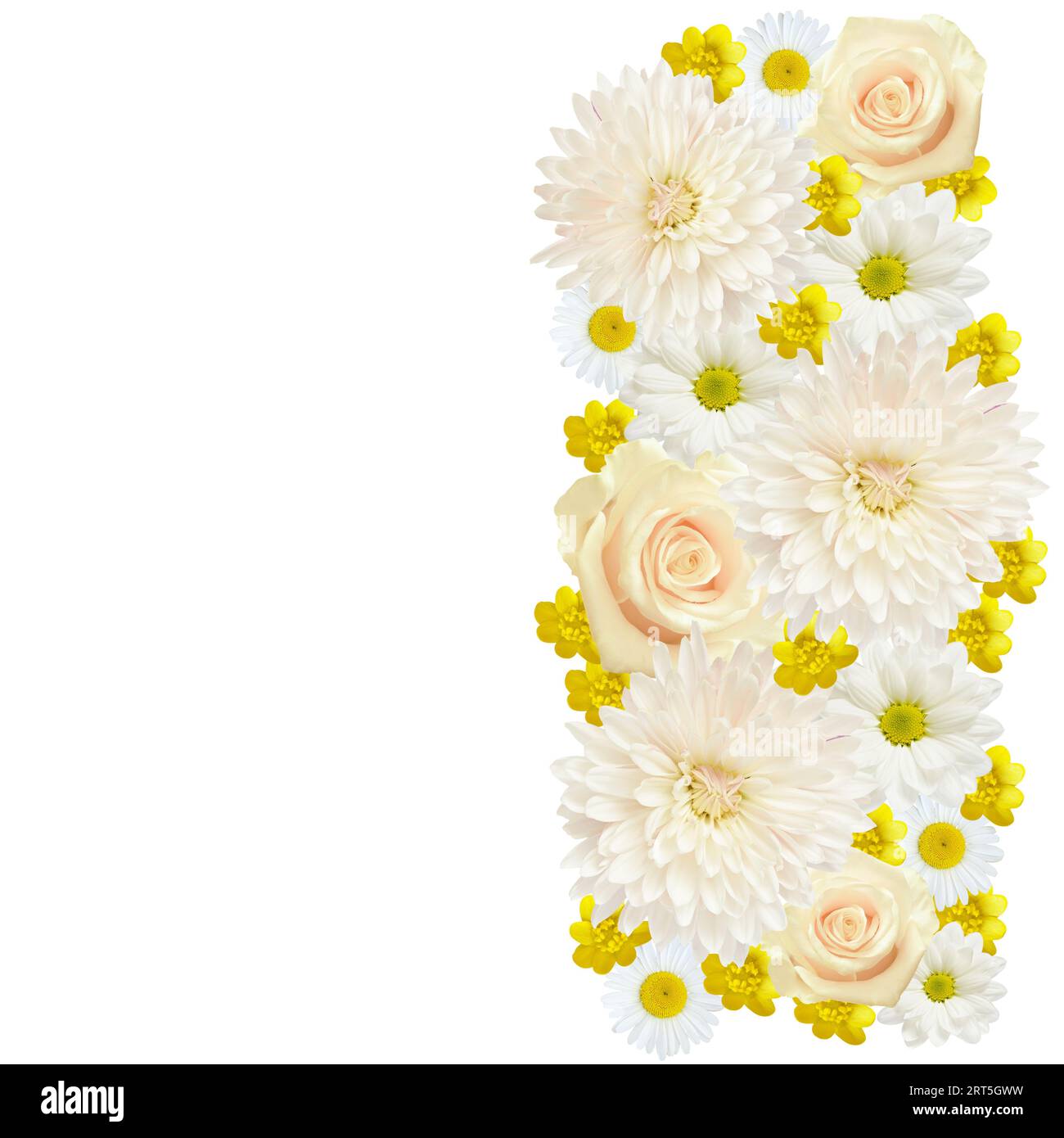 Wedding with an edge Cut Out Stock Images & Pictures - Alamy