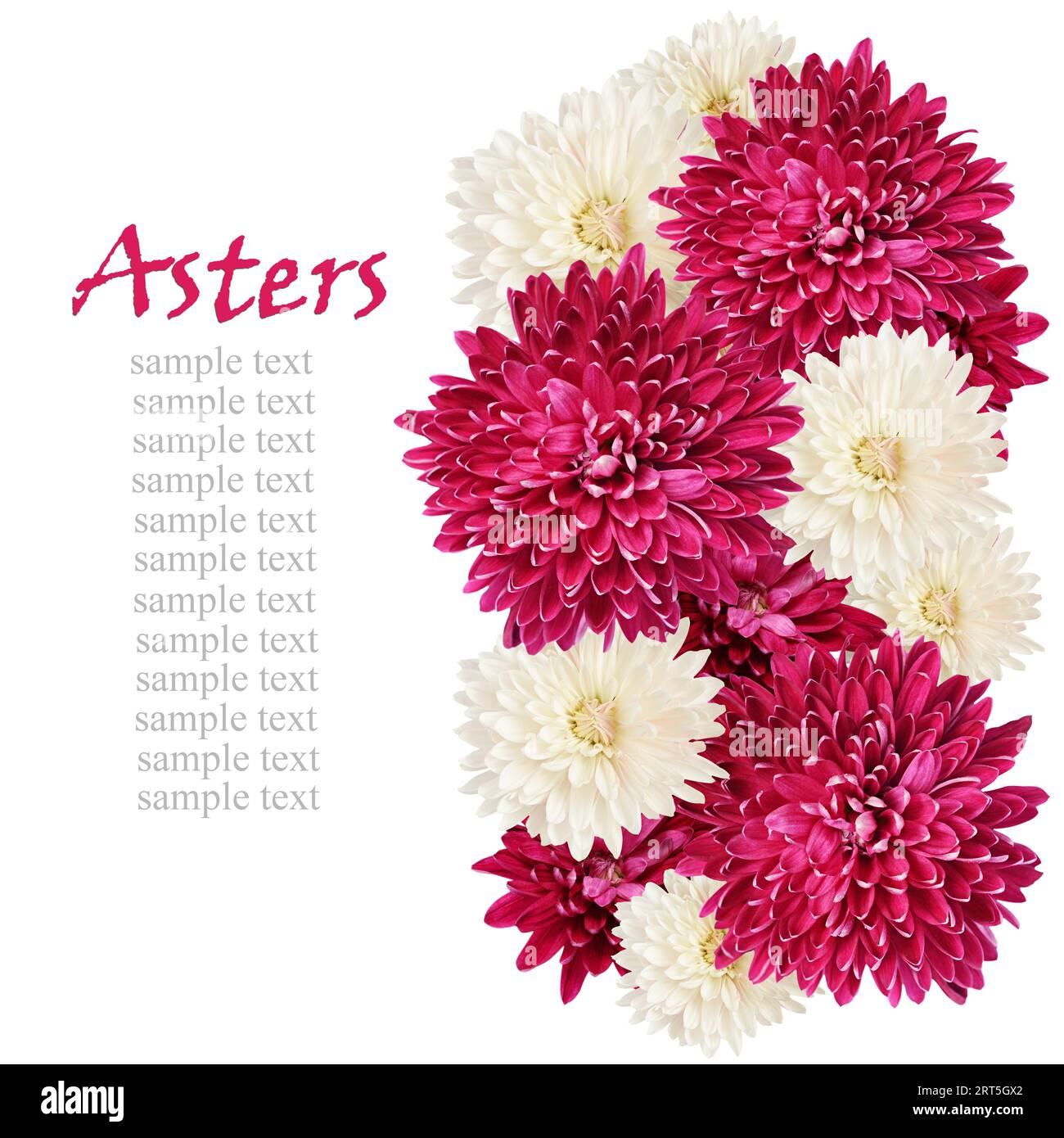 Flowers edge hi-res stock photography and images - Alamy