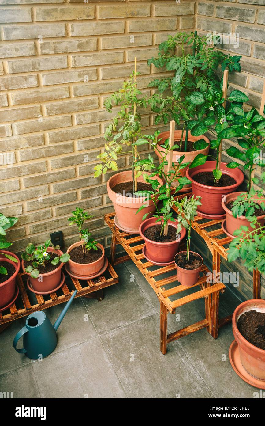 Corner plants hi-res stock photography and images - Alamy