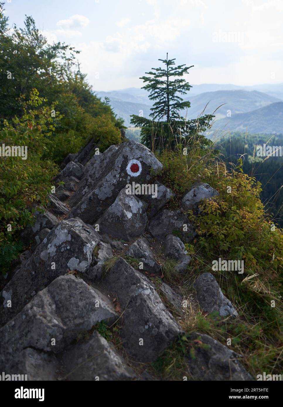 Basalt geologic column formations from Detunatele in Romania, natural ...