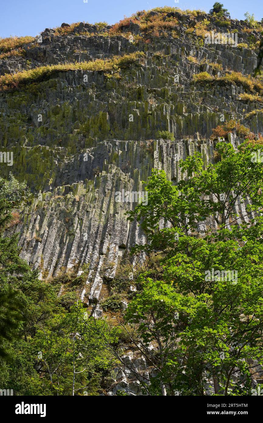 Basalt geologic column formations from Detunatele in Romania, natural ...