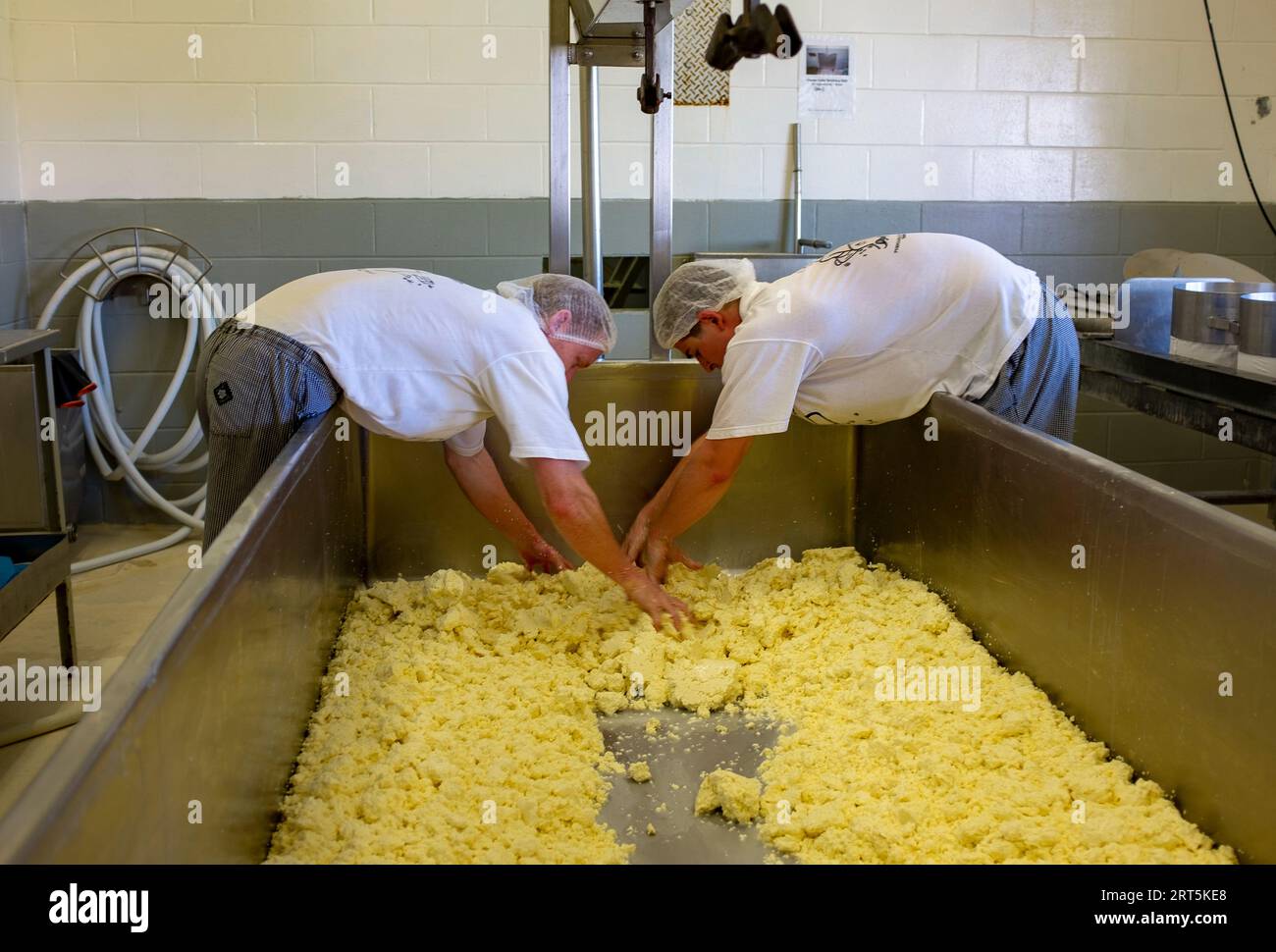 Cheddar cheese tasmania hi-res stock photography and images - Alamy